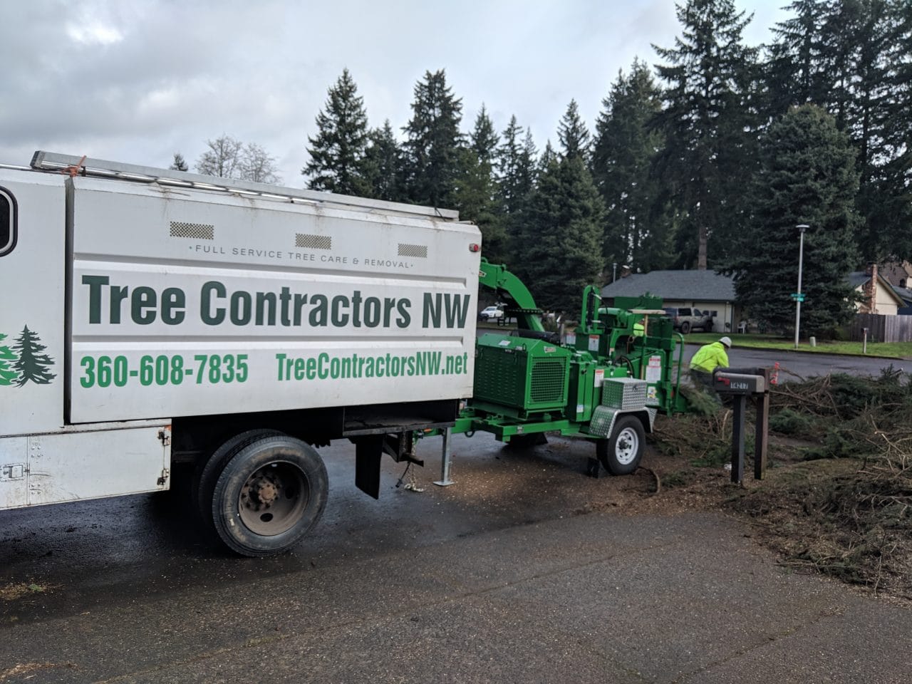 Gallery | Tree Contractors Northwest Inc