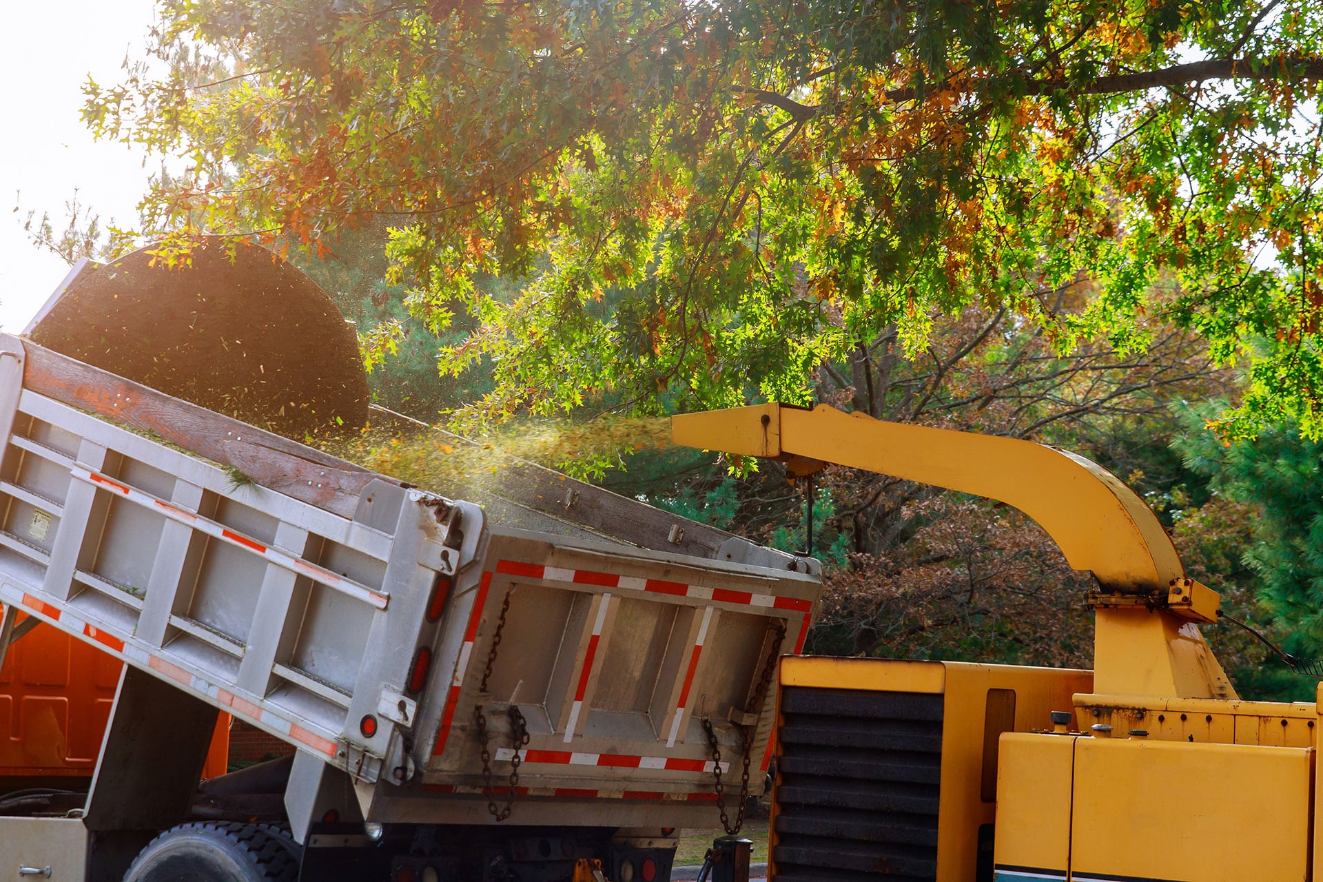 How Wood Chipping Services Help Prevent Wildfires and Reduce Yard Waste ...